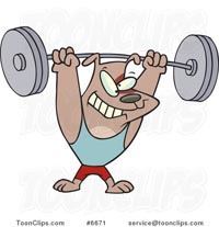 Fitness and Conditioning for the Canine Athlete – The Fitpaws Way